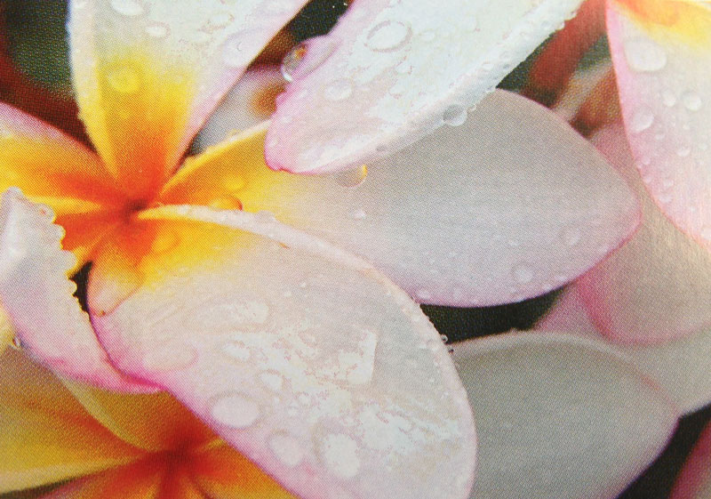 Understanding Common Flexo Print Defects - Part 2 - All Printing Resources