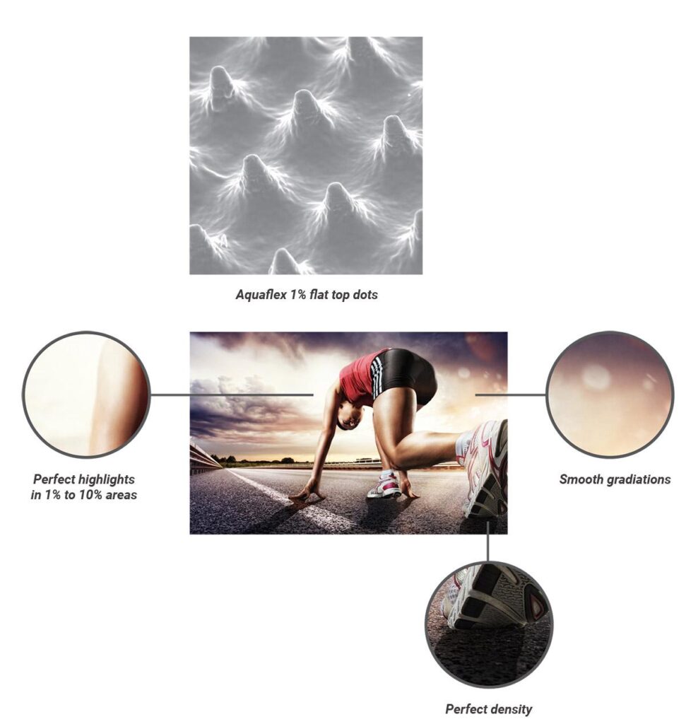 Dantex Aquaflex Water Wash Plates - All Printing Resources